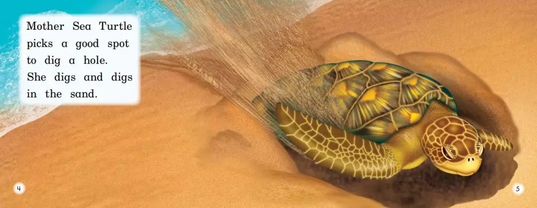 邦元英语：《Mother Sea Turtle》海龟妈妈__凤凰网