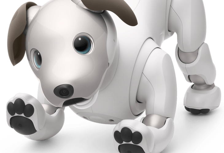 索尼aibo版本更新：机器狗or真狗傻傻分不清楚__凤凰网