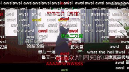 B站发布2019年度弹幕，“AWSL”被发送三百万次！你看得懂吗？_凤凰网