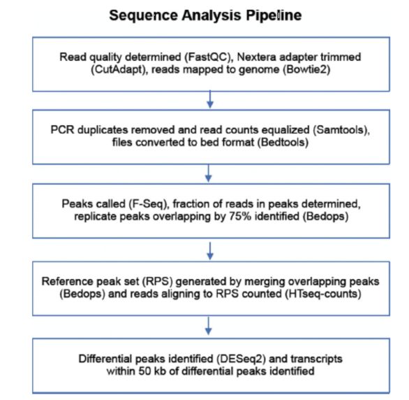 一文读懂表观遗传学研究利器——ATAC-seq技术及应用丨深度长文__凤凰网