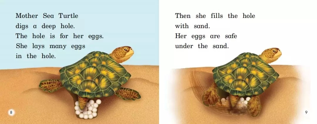 邦元英语：《Mother Sea Turtle》海龟妈妈__凤凰网