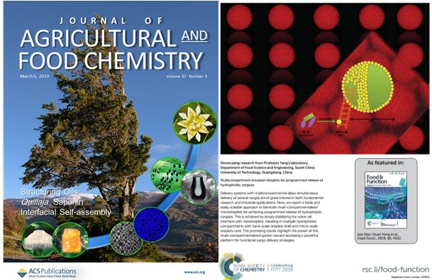 河南工业大学陈小威与华南理工大学杨晓泉合作在JAFC发表关于等级多重乳液的封面文章__凤凰网