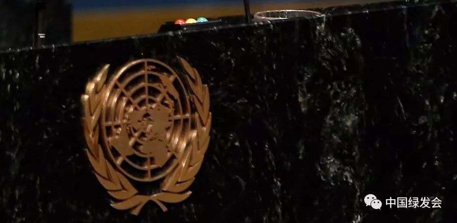 绿会分享:路透社要闻——《非洲寻求在联合国首脑会议上宣布全球气候进入紧急状态》 凤凰网