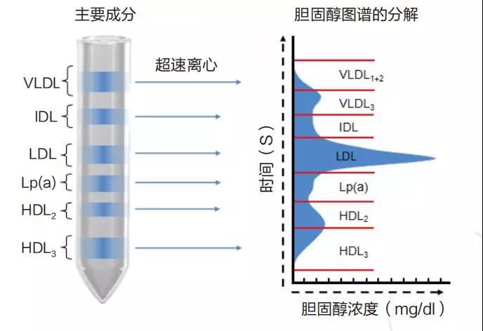 全球独家血脂分型检测系统问世,做3亿心脑血管病人的健康“警示灯”__凤凰网