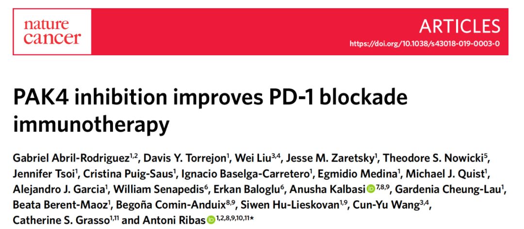 Nature新子刊Nature Cancer：PAK4抑制可促进PD-1免疫阻断疗法__凤凰网