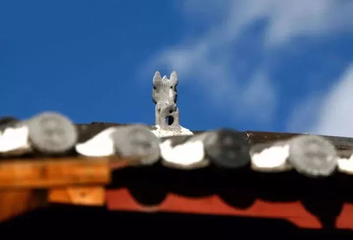 来自昆明的神兽，瓦猫__凤凰网