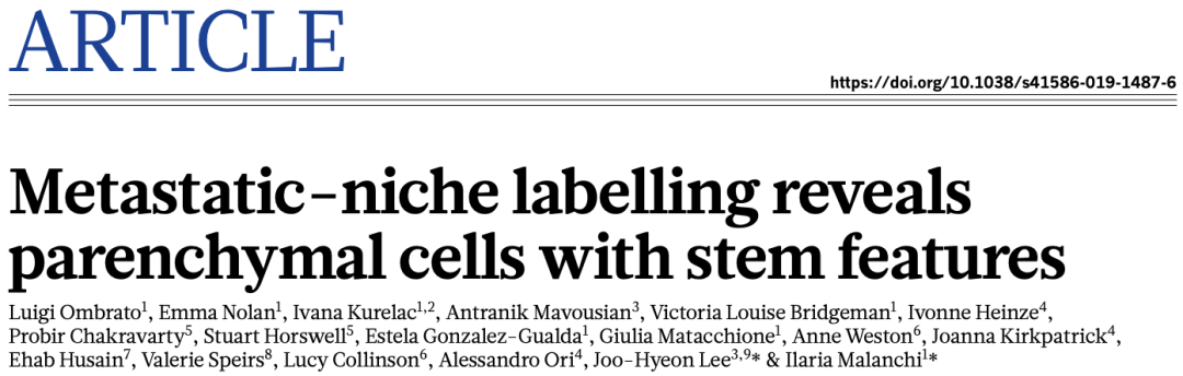转移生态位：揭开肿瘤转移之谜__凤凰网