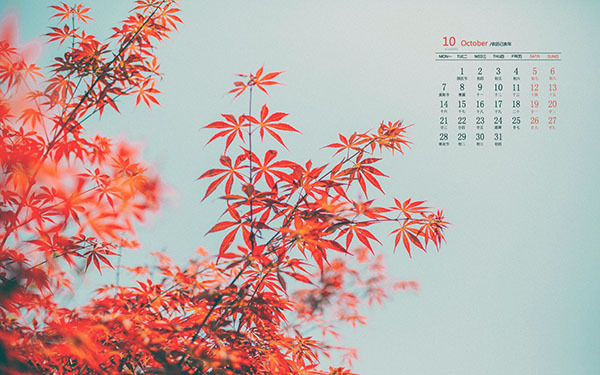 2019年10月开业黄道吉日 2019年10月适合开业的日子 黄道吉日2019年10月__凤凰网