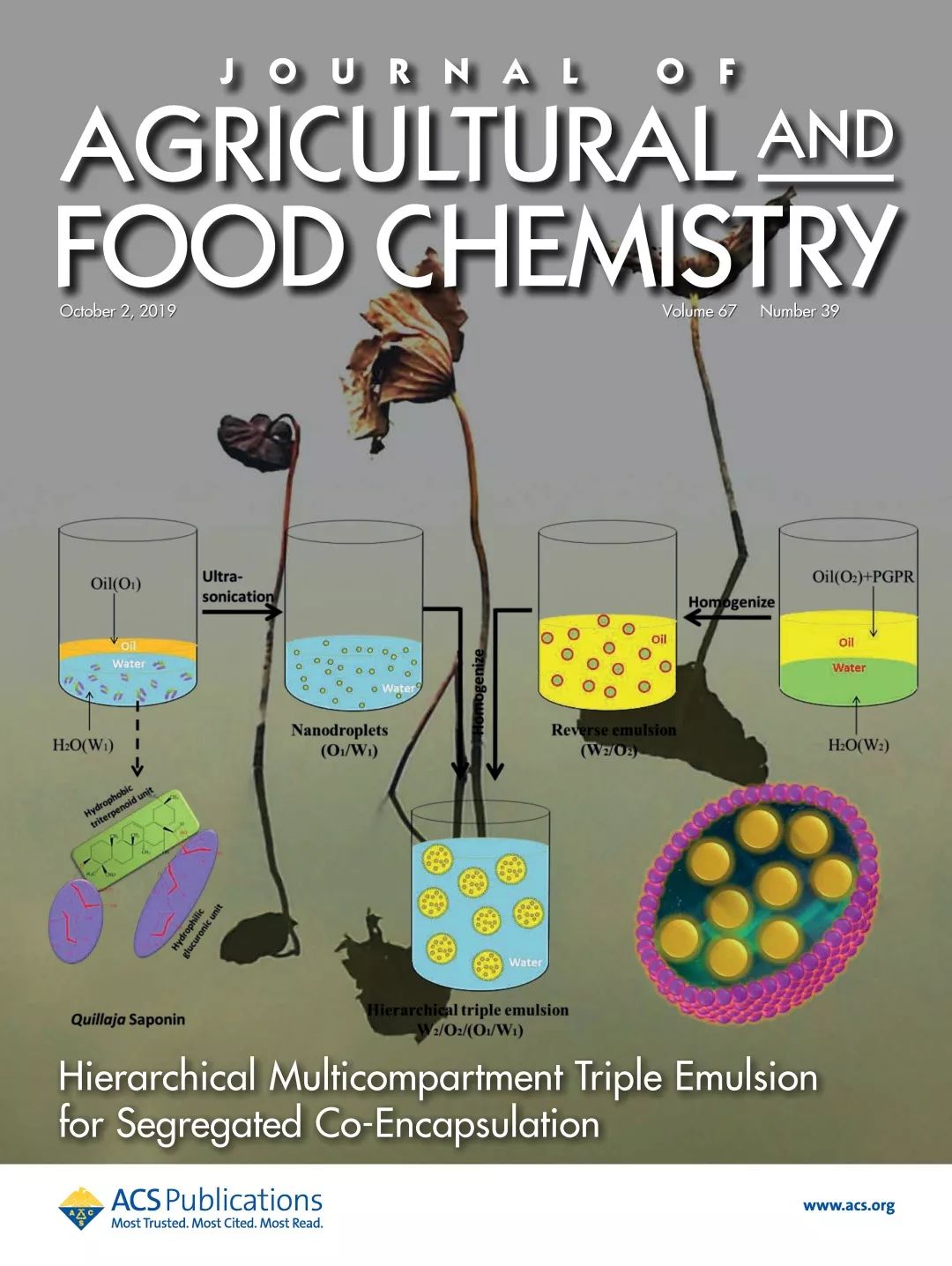 河南工业大学陈小威与华南理工大学杨晓泉合作在JAFC发表关于等级多重乳液的封面文章__凤凰网