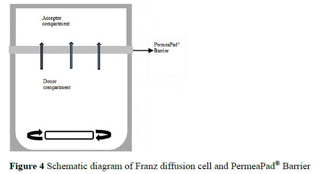 口腔黏膜给药系统的药物动力学研究进展__凤凰网