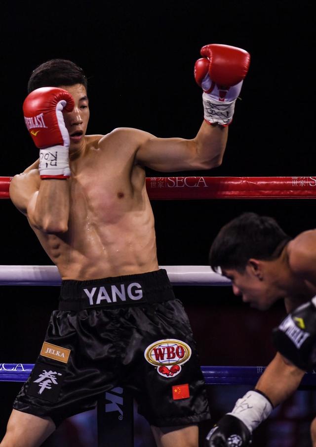 又一位中国人冲击世界拳王！中国重炮手自信迎战日本拳击一哥_凤凰网体育_凤凰网