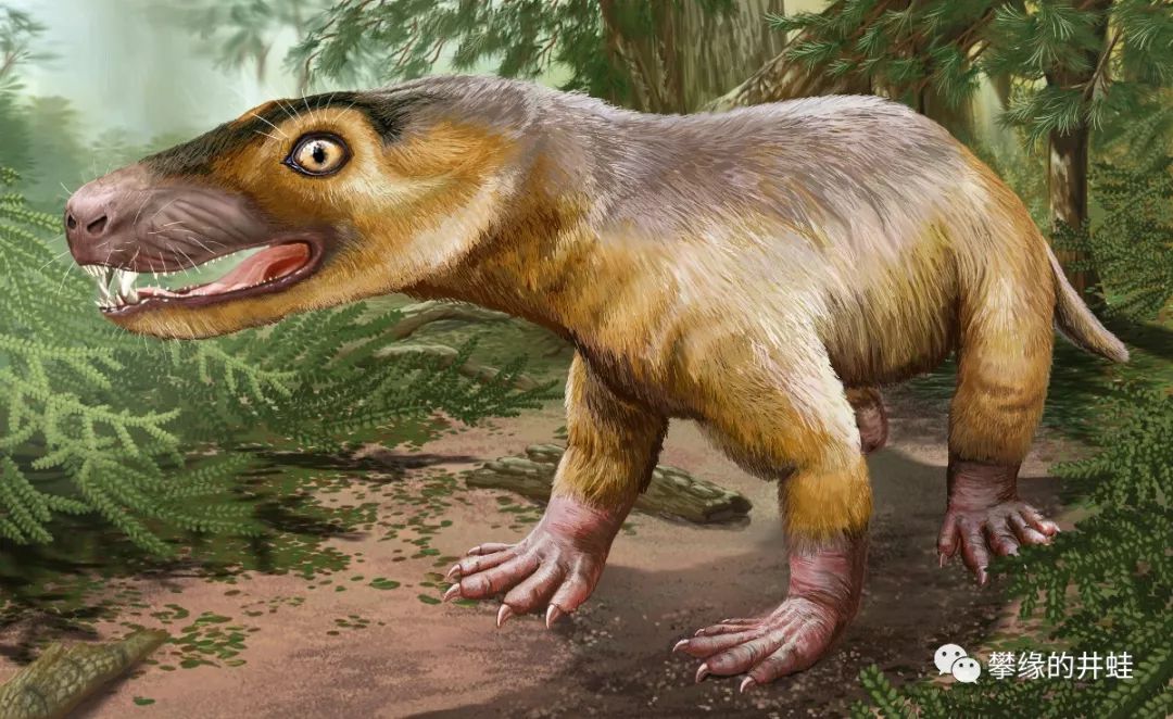 第二百四十三回 百兽图7：赶狻猊__凤凰网