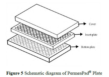 口腔黏膜给药系统的药物动力学研究进展__凤凰网