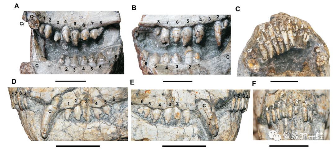 第二百四十三回 百兽图7：赶狻猊__凤凰网