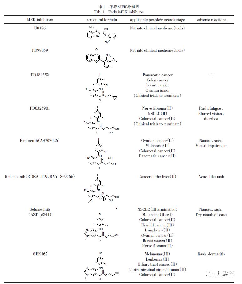 MEK 抑制剂的研究进展__凤凰网