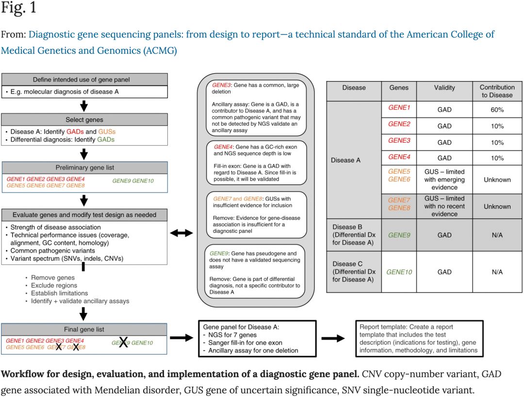 最新发布 | 2019年ACMG关于panel从设计到报告的标准规定 (详解版)__凤凰网