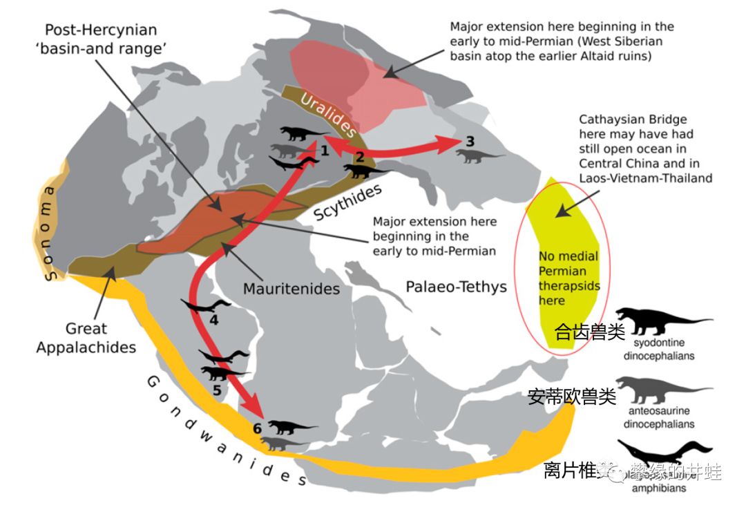第二百四十二回 百兽图6：惊饕餮__凤凰网