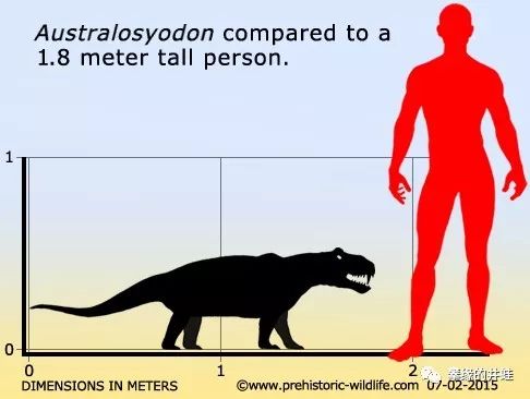 第二百四十二回 百兽图6：惊饕餮__凤凰网