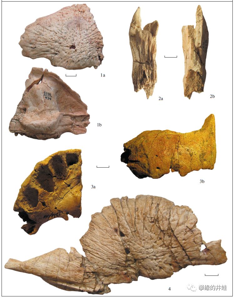 第二百四十三回 百兽图7：赶狻猊__凤凰网