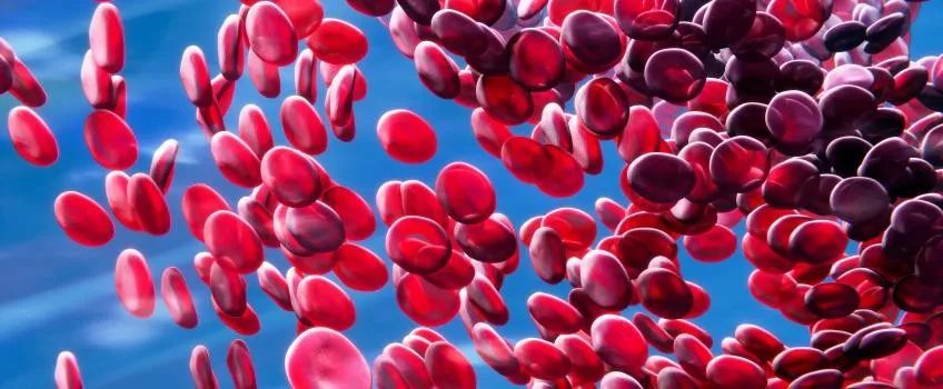 Biogen多发性硬化症新药Vumerity正式获批，打造升级版Tecfidera…|美柏头条__凤凰网