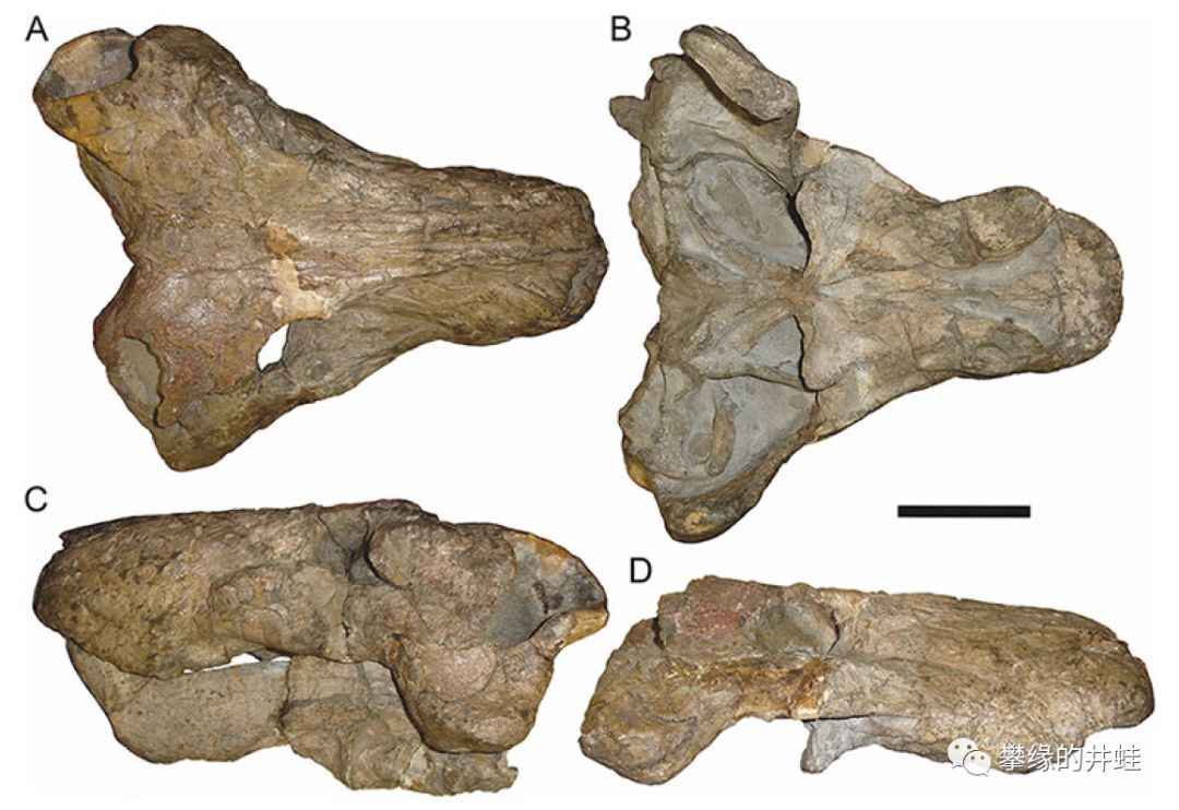 第二百四十二回 百兽图6：惊饕餮__凤凰网