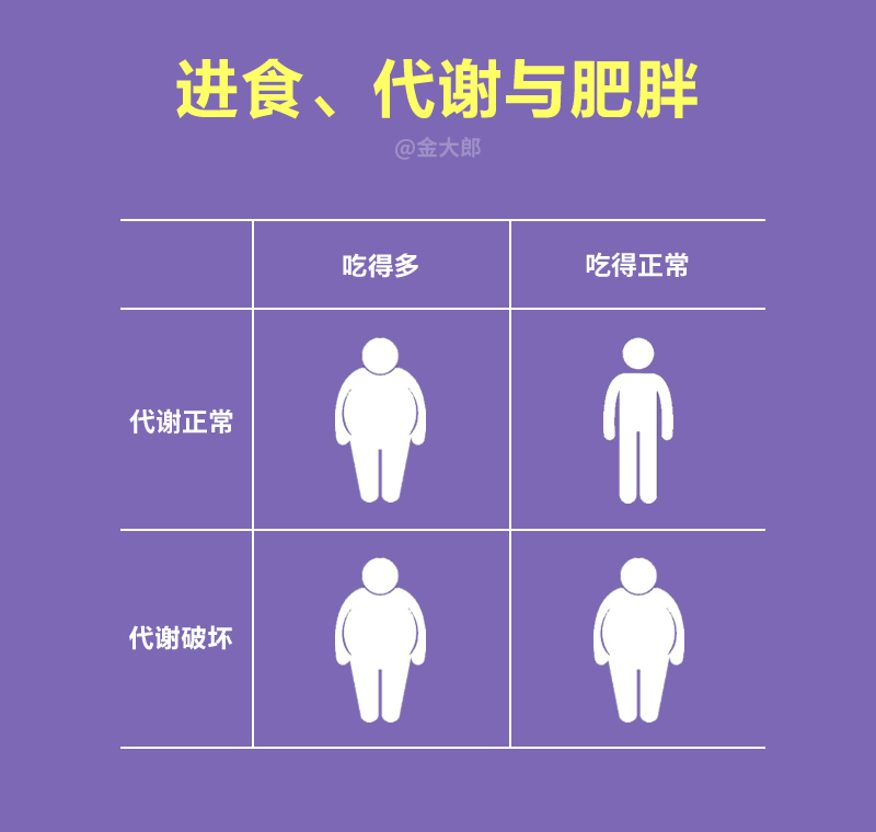 大张波为你解答，你的肥胖属于什么“型号”__凤凰网