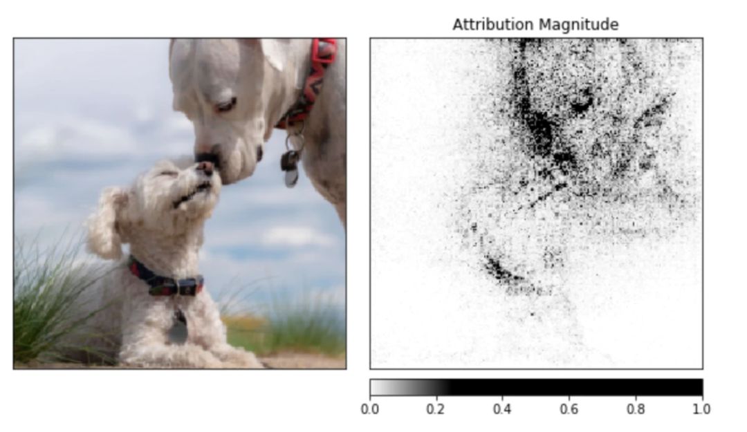Facebook开源模型可解释库Captum，这次改模型有依据了__凤凰网