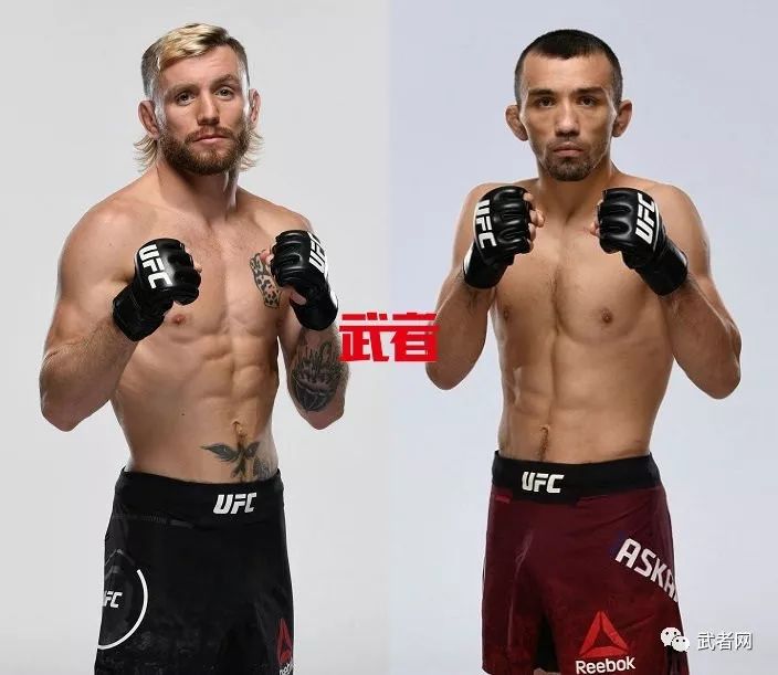UFC 246：霍利·霍尔姆vs拉克尔·彭宁顿__凤凰网