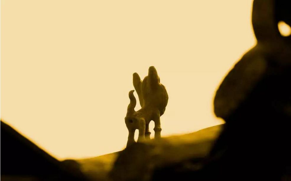 来自昆明的神兽，瓦猫__凤凰网