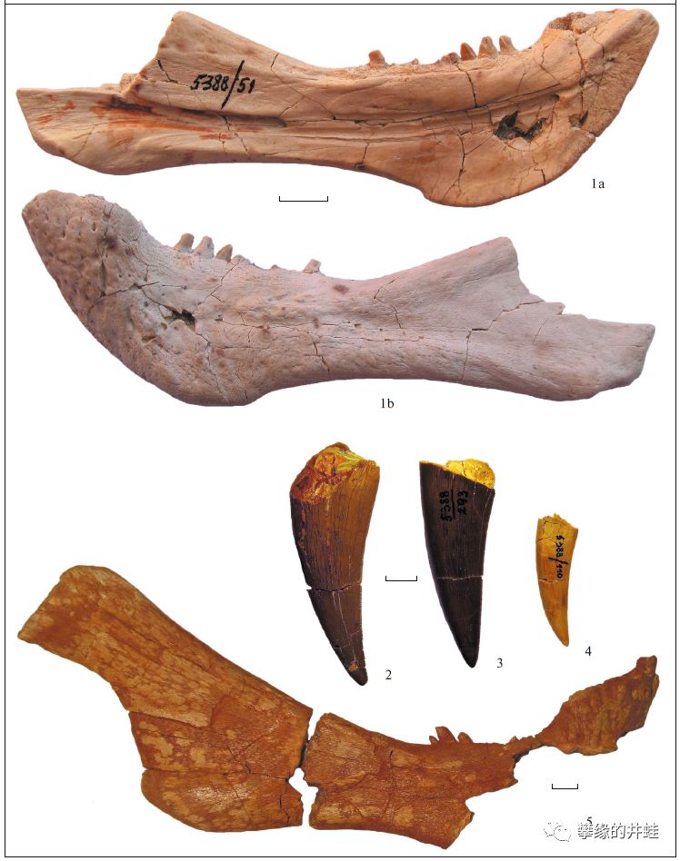 第二百四十三回 百兽图7：赶狻猊__凤凰网