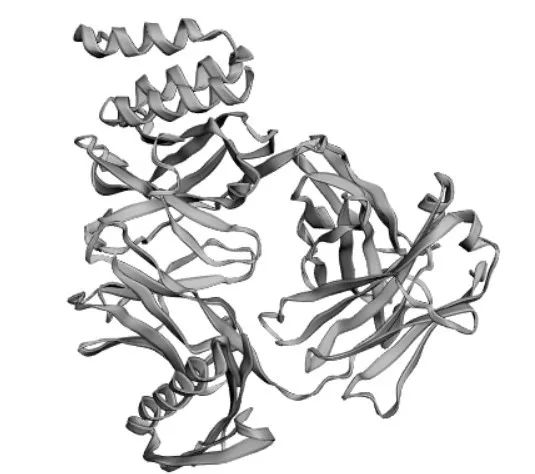 China Focus特别演讲嘉宾：2019拉斯克奖得主、赫赛汀发明人H. Michael Shepard博士__凤凰网