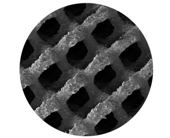 新款钛合金3D打印植入物，强生DePuy Synthes椎间融合器__凤凰网