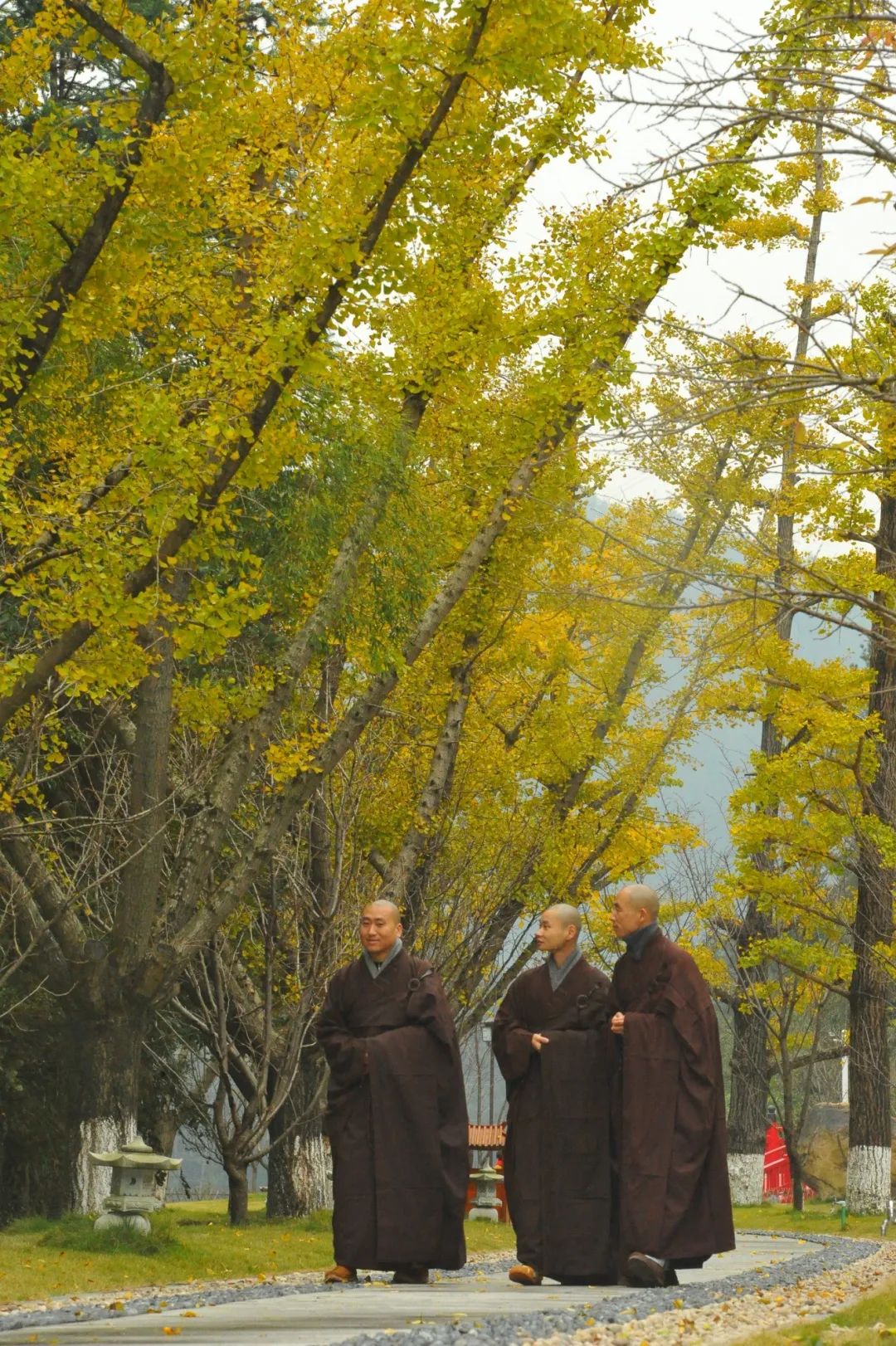 美丽寺院：文成县天圣山安福寺__凤凰网