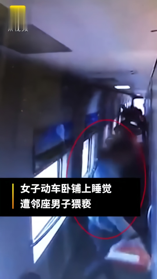 男子动车上猥亵邻座熟睡女子，被抓竟对天发誓否认凤凰网视频凤凰网
