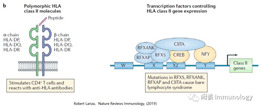 通用型细胞治疗（Universal cellular therapy）__凤凰网