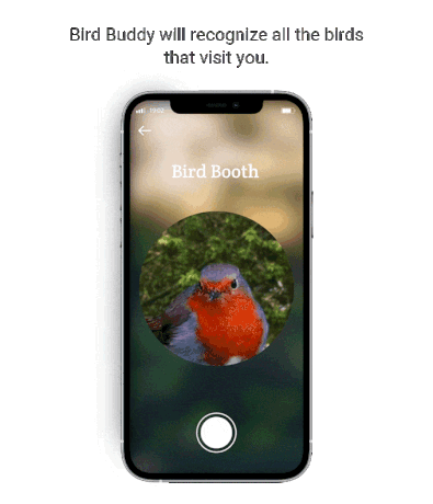 Bird Buddy智能喂鸟器：将鸟类自拍变成可收藏的游戏和保护工具__凤凰网