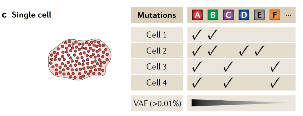 Nat.Rev.Genet最新综述丨万字长文阐释单细胞测序如何研究肿瘤进化__凤凰网
