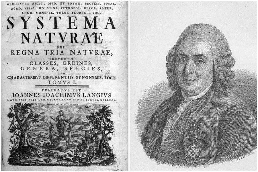 把人锁在笼子里展览：114年后，美国终于为这段黑历史道歉了__凤凰网