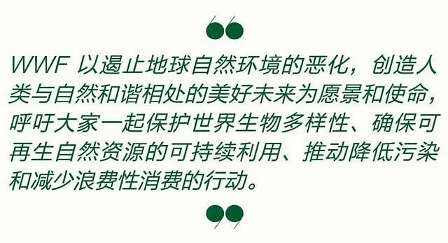 首个「可持续时尚全球线上峰会」成功举办，WWD China 引领中国可持续时尚先风_凤凰网