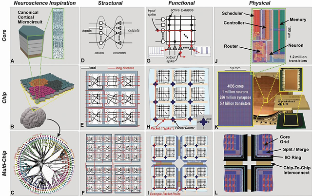 中国科学家领衔欧洲顶尖类脑芯片团队回归，斩获近亿元融资__凤凰网