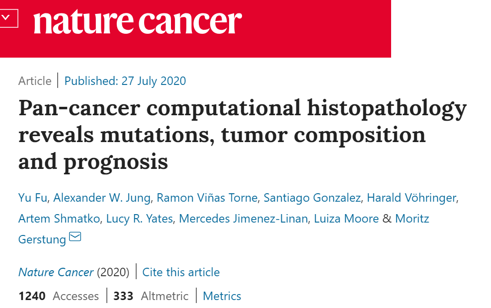 Nature Cancer | 看图即可识别28种癌症类型及上百种基因变异模式，人工智能癌症病理诊断应用再获突破__凤凰网