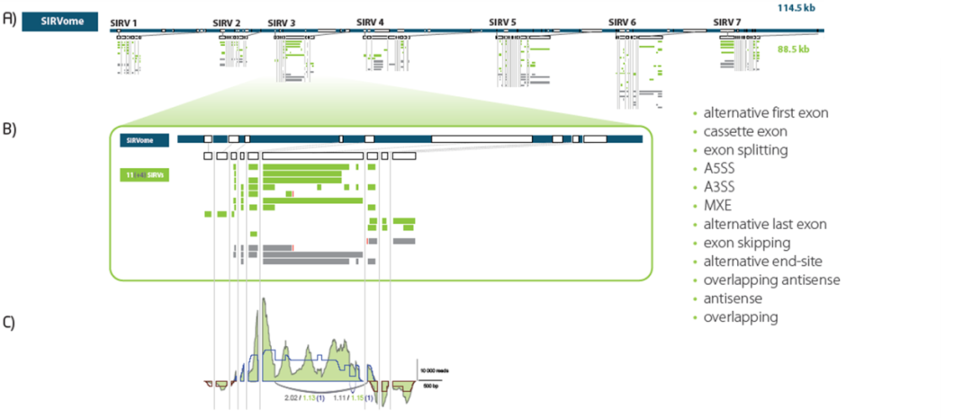 干货分享丨一文详解常规RNA-seq与3’mRNAseq优势与局限__凤凰网