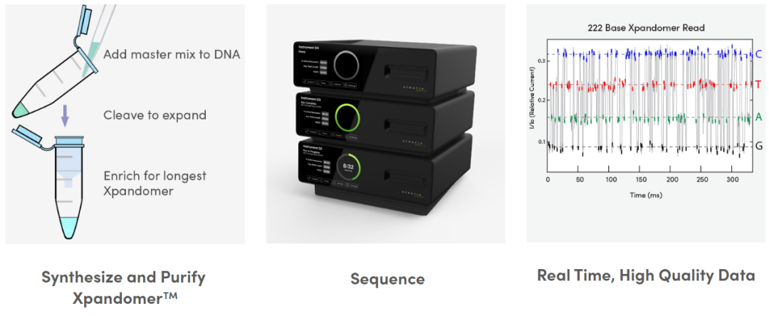罗氏收购纳米孔测序技术公司Stratos Genomics，拓展临床诊断解决方案开发__凤凰网