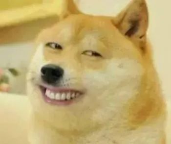 14岁的Doge现身辟谣：让我康康是谁说我死了？__凤凰网