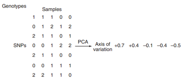 全基因组关联分析（GWAS) —— 群体结构__凤凰网