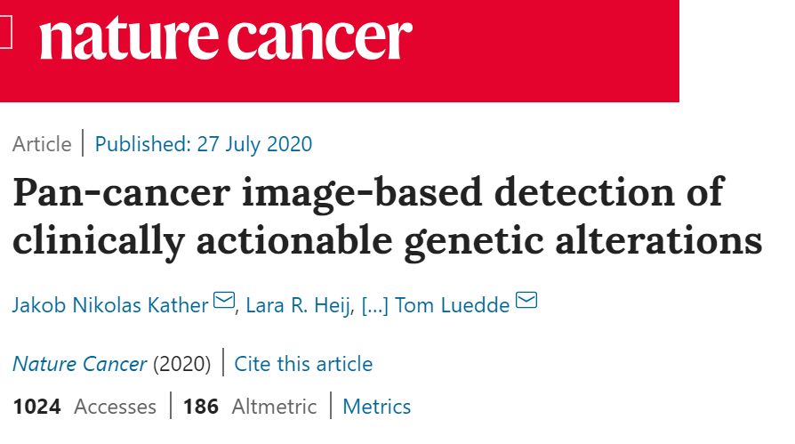 Nature Cancer | 看图即可识别28种癌症类型及上百种基因变异模式，人工智能癌症病理诊断应用再获突破__凤凰网