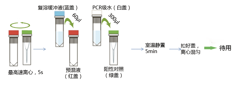 支原体荧光定量PCR检测试剂盒(qPCR一步法）操作详解__凤凰网