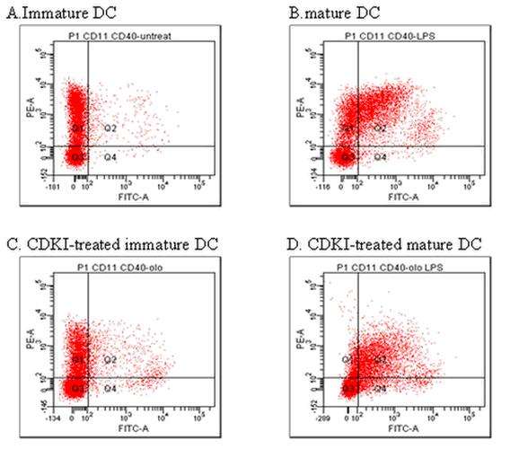 流式细胞术在CAR-T治疗中的应用__凤凰网