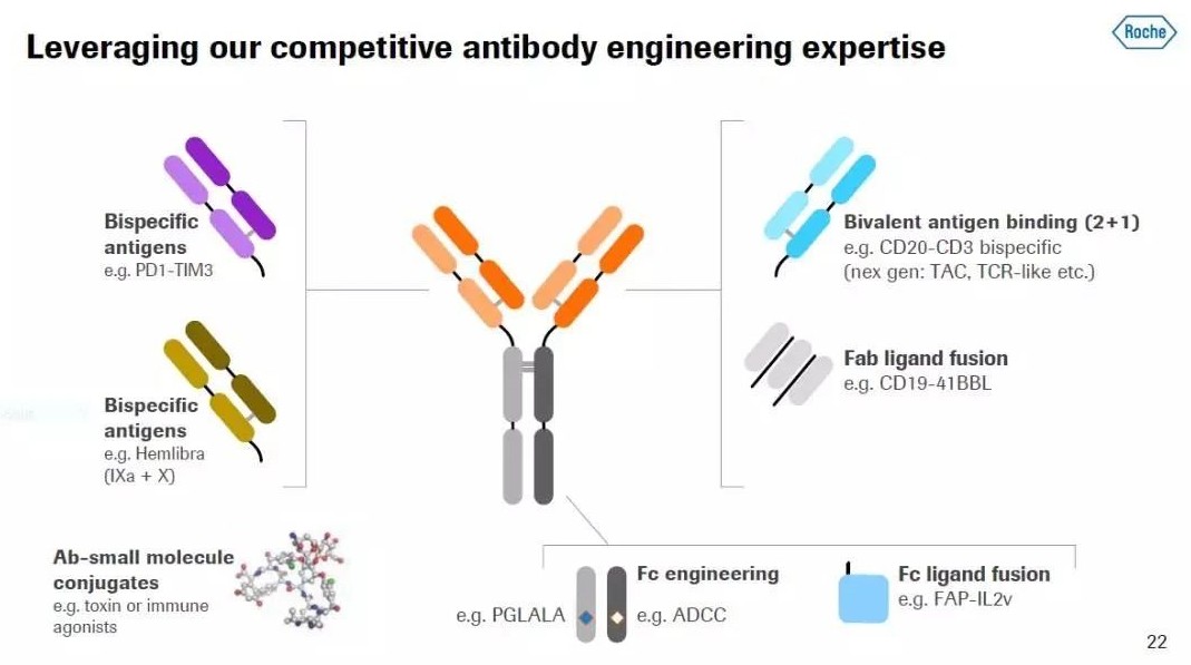 双特异性抗体研发成热门 艾伯维(ABBV.US)、罗氏(RHHBY.US)、赛诺菲(SNY.US)已入局_凤凰网