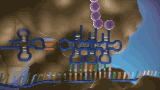 你与科学家之间，只差一个软件_凤凰网